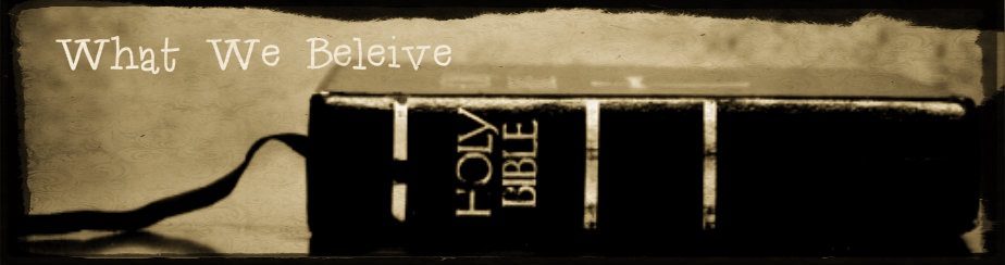 We Believe The Bible